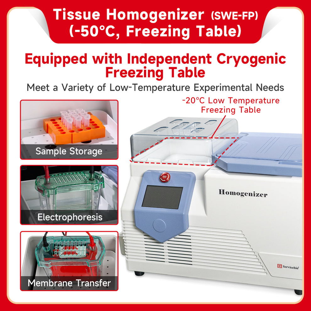 SWE-FP: Bead Beater Homogenizer with temperature control (-50℃, Freezi ...